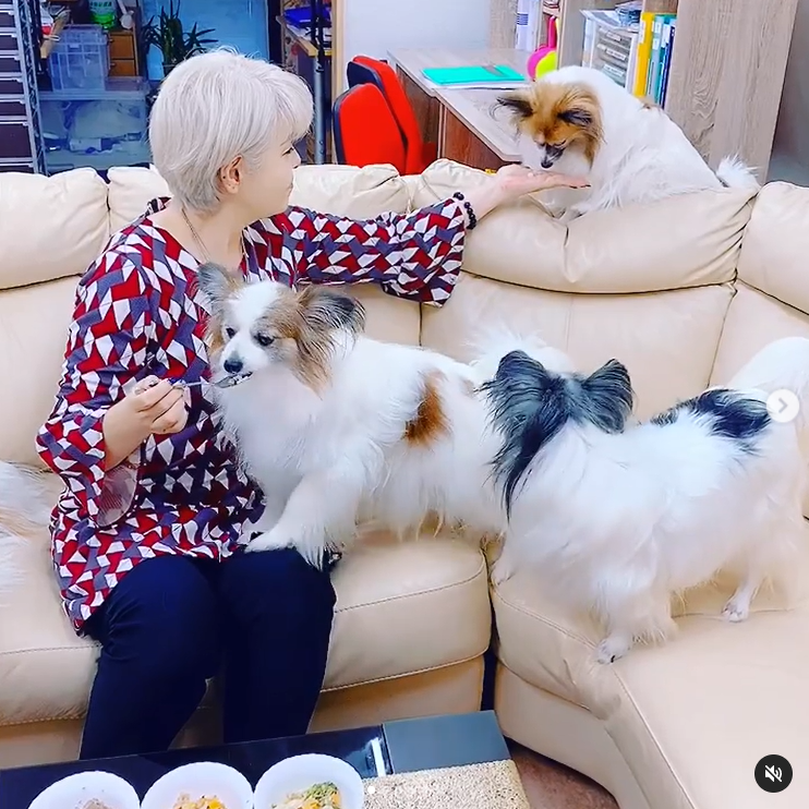 ドッグフード食べない"とさよなら！】Idea dog chef 体験レポご紹介① : Idea dog chef(イデアドッグシェフ)