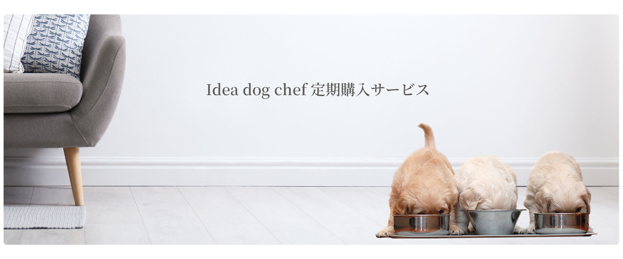 定期購入 : Idea dog chef(イデアドッグシェフ)